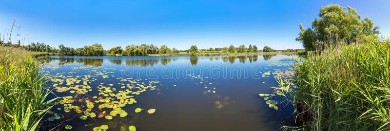 Calm pond and water plants stock image. Image of idyllic - 190359373