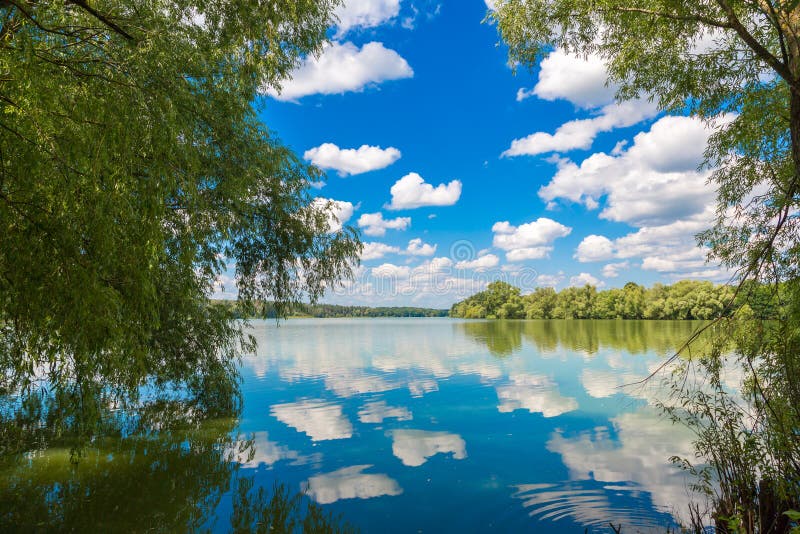 Calm pond and water plants stock image. Image of tree - 190382653