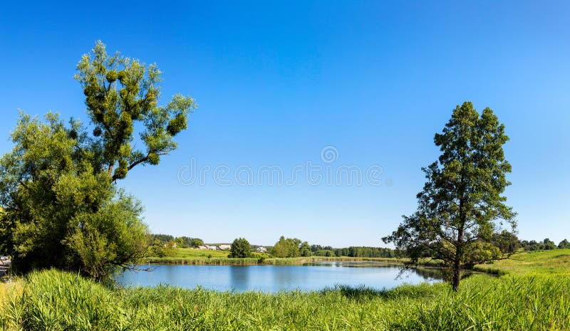 Calm pond and water plants stock image. Image of land - 190382709