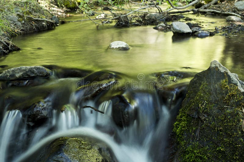 Calm Pool Virgin River Narrows Stock Photo - Image of virgin, nature ...