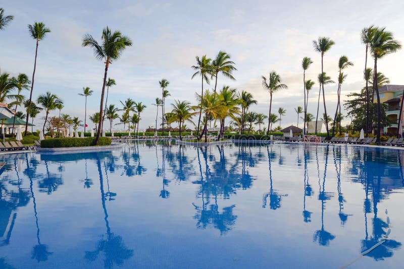 Calm Pool stock image. Image of sunny, blue, tree, leisure - 169128627