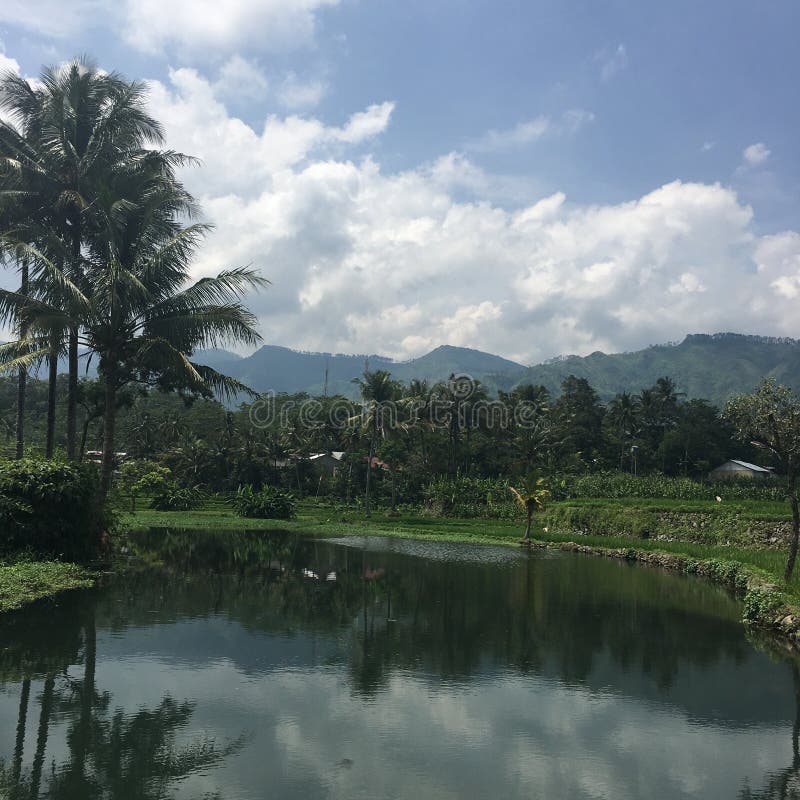 A calm pool stock image. Image of pool, surrounding - 222265111