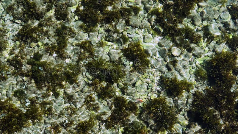 Calm Pure Sea Water stock footage. Video of pure, flow - 370737642