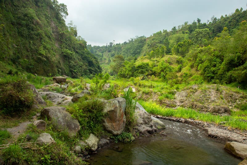 Calm and Quiet River Stream Stock Photo - Image of stream, meadow ...