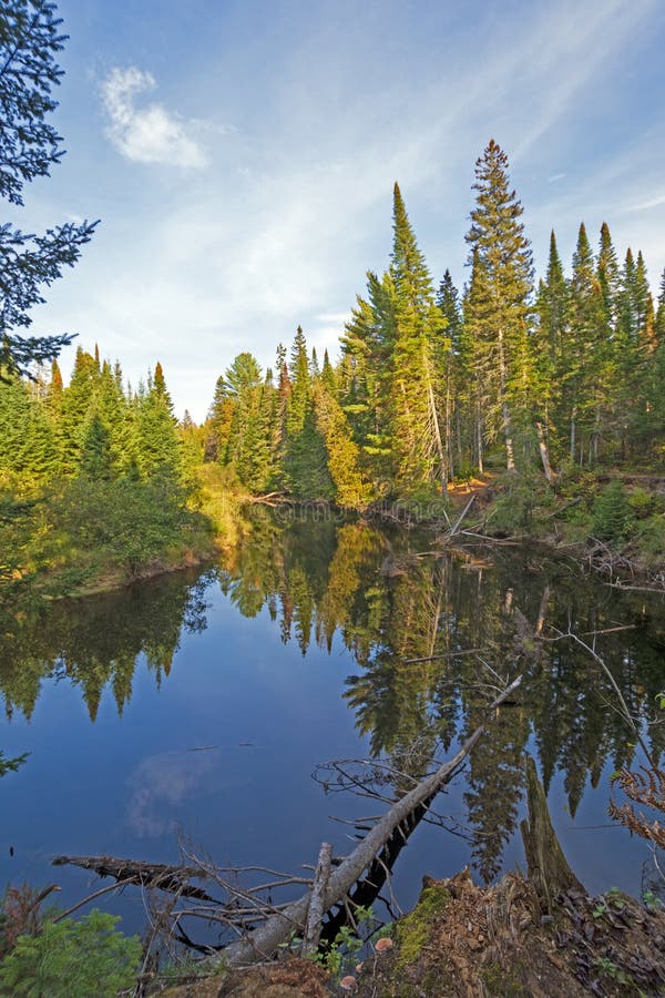 Calm Reflections in a Forest Stream Stock Photo - Image of ontario ...
