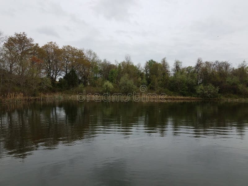 Calm Reflective Pond or Lake with Tree and Sky Stock Photo - Image of ...