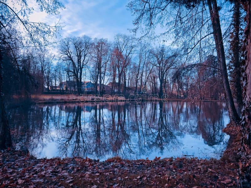 Reflective Pond Water with Bare Autumn Tree Reflections on a Cloudy Day ...