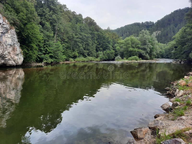 Calm river alesd stock photo. Image of stream, water - 262246542
