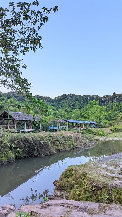 Calm River Amidst Lush Trees. Stock Photo - Image of calm, river: 323805170