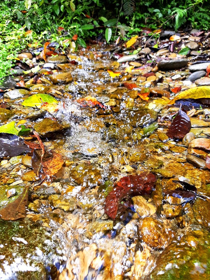 Calm river stock photo. Image of river, taman, water - 249995920
