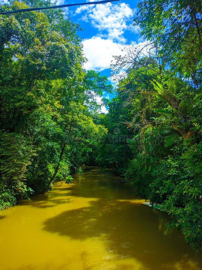 Calm River Decorated with Trees Stock Photo - Image of calm, river: 261840960