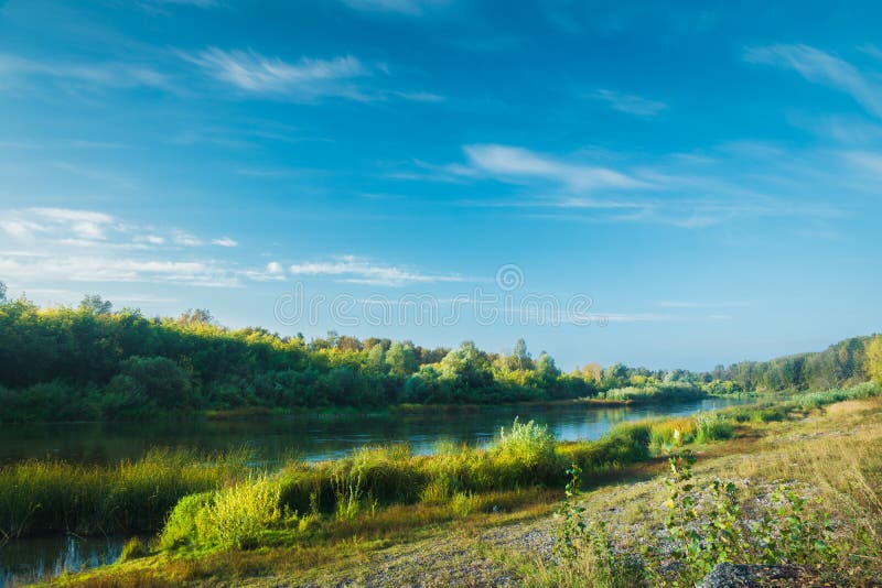 Calm river with forest stock photo. Image of lake, trees - 103453254