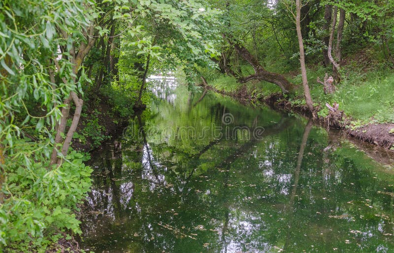 Calm river in the forest stock photo. Image of spring - 149523686