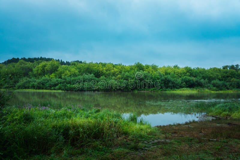 Calm river with forest stock photo. Image of relax, colorful - 193833770