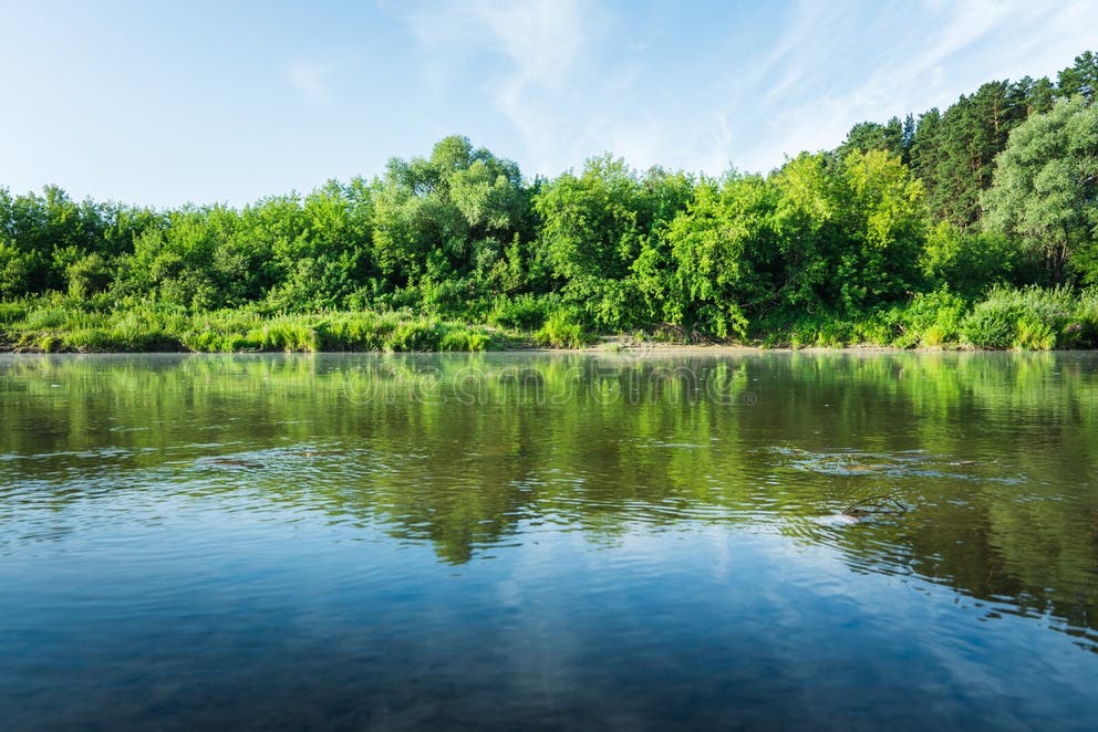 Calm river with forest stock photo. Image of environment - 163803374