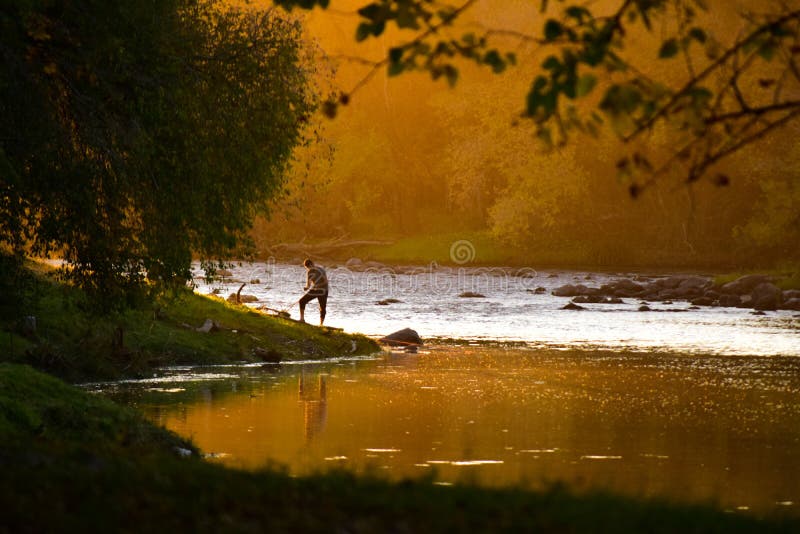 Calm River Gleaming Under the Sun Surrounded by Trees and a Man ...
