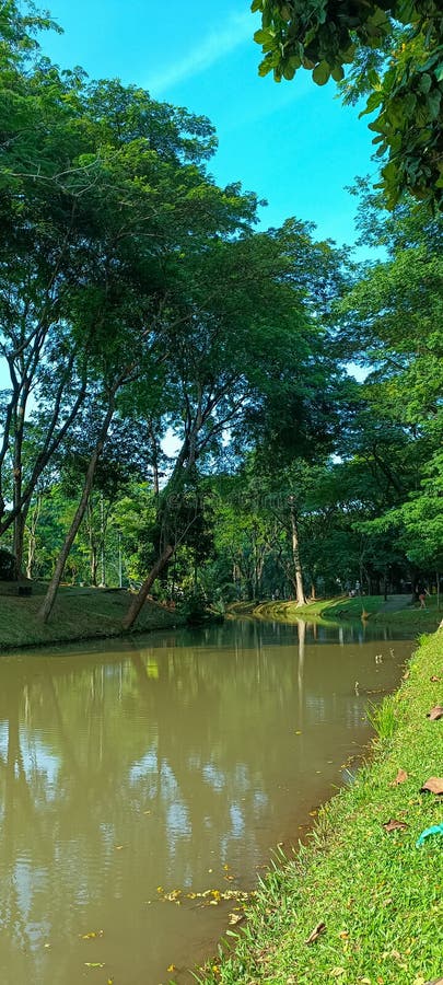 A Calm River with Many Trees Stock Photo - Image of calm, trees: 311741398