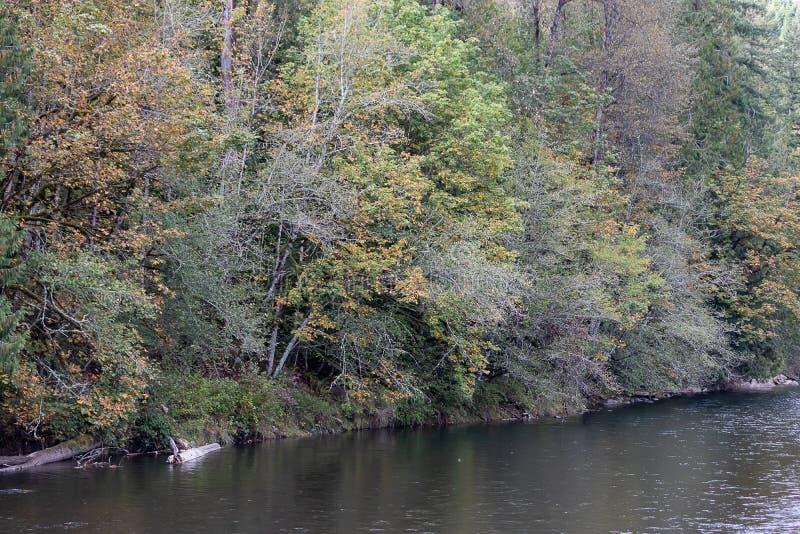 A Calm River Running through Fall Trees Stock Photo - Image of ...