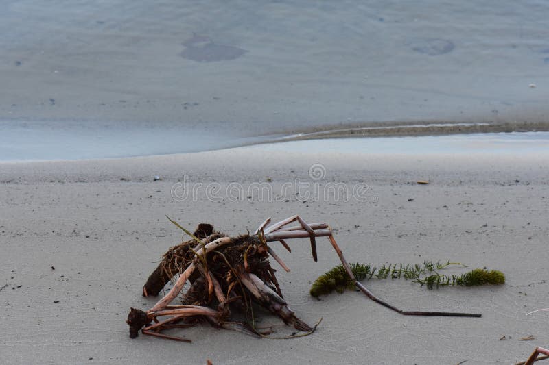 Calm River S Waters and the Texture of the Sand on the Beach. Close-up ...