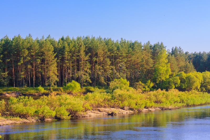 Calm River stock image. Image of bright, sunshine, beautiful - 32503289