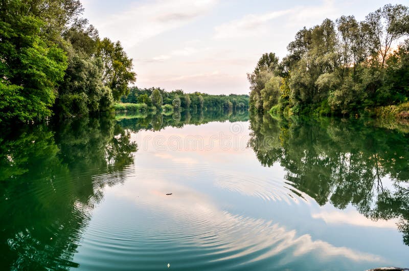 A Calm River with Trees on Both Sides Stock Image - Image of river ...