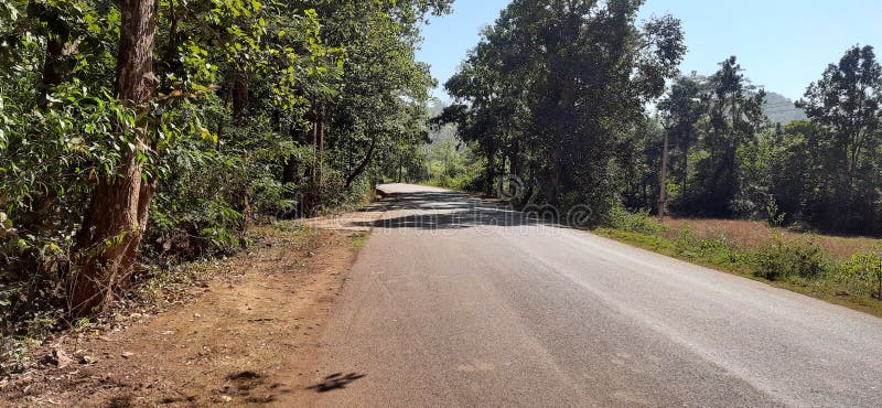 Calm road in Norway island stock photo. Image of lofoten - 161075988