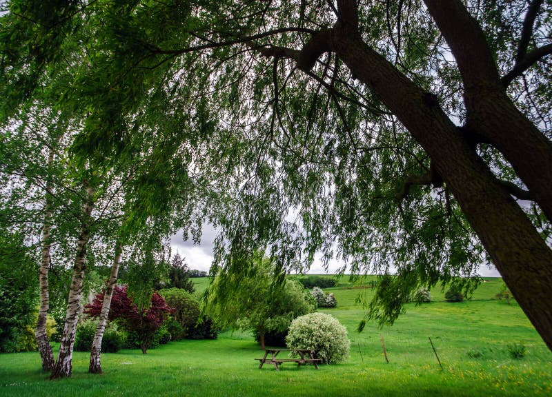 Calm rural landscape stock image. Image of agriculture - 40605455