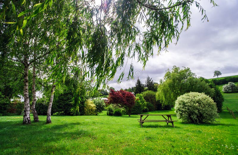 Calm rural landscape stock photo. Image of agriculture - 40605512