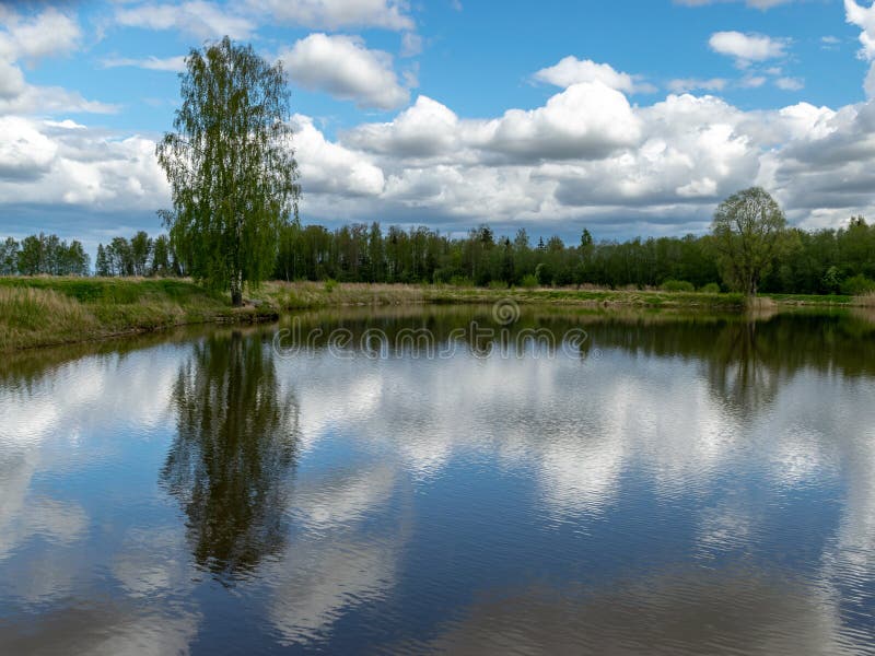 Calm Scene of Beautiful Sky with Cumulus Clouds Reflection on the Lake ...