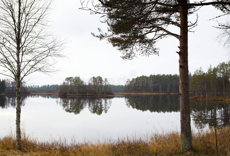 Calm scenery. stock photo. Image of clouds, beach, national - 79502344