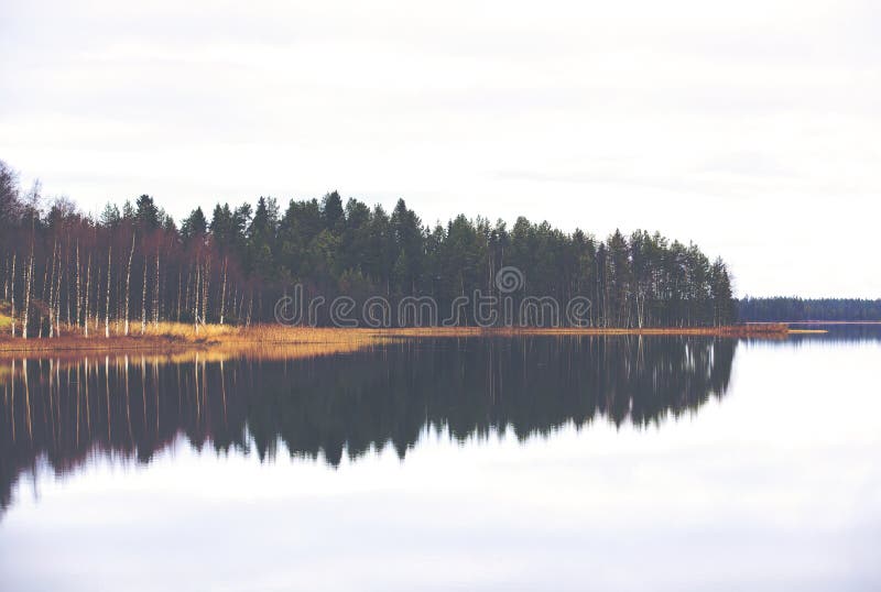 Calm scenery. stock image. Image of forest, environment - 79552003