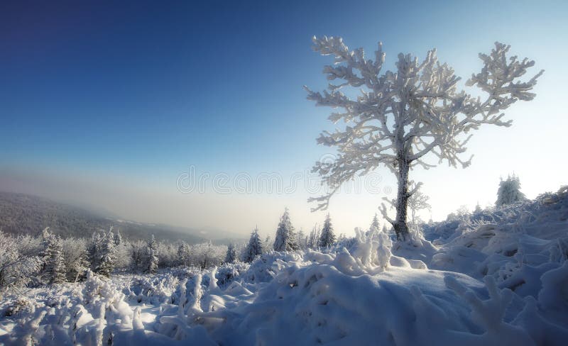 Calm and snow winter stock photo. Image of blue, krusne - 14580700