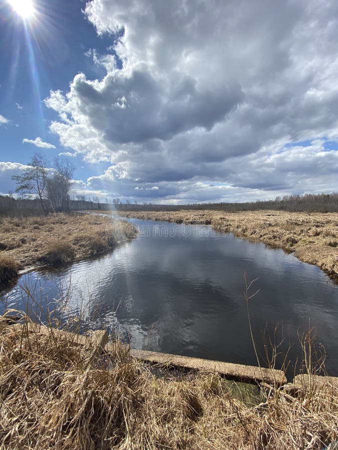 A Calm Spring Forest River on a Sunny and Cloudy Day Stock Image ...