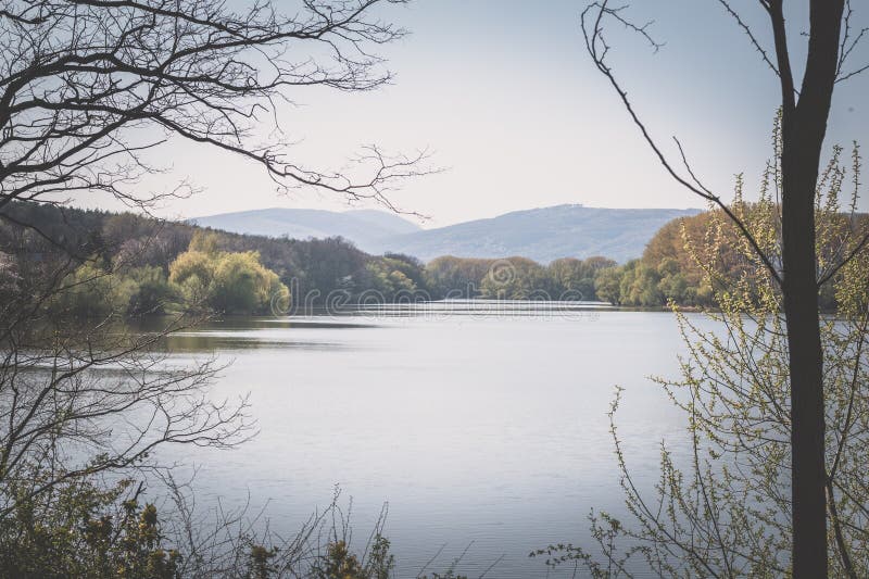 Calm in the Spring Nature, Lake and Trees Stock Photo - Image of wood ...