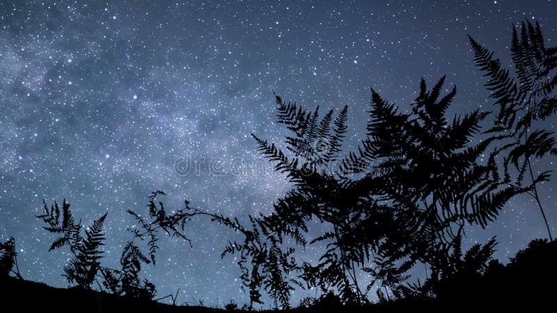 Calm Starry Night Seamless Timelapse Stock Video - Video of serenity ...