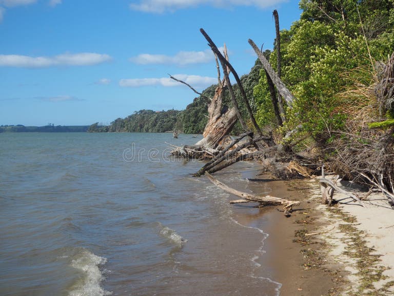 Calm after the storm stock photo. Image of calm, beach - 64558950