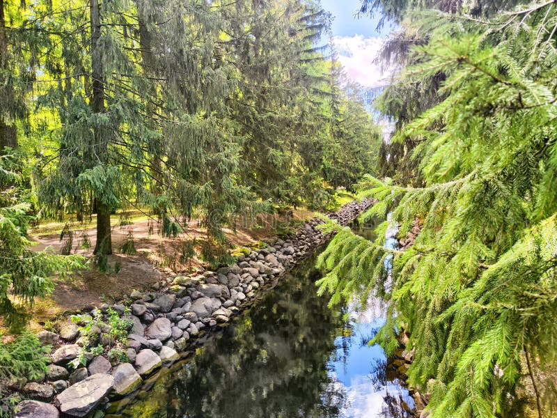 A Calm Stream Flows through a Forest on a Sunny Day, Lined with Stone ...