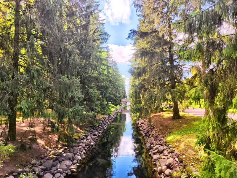 A Calm Stream Flows through a Forest on a Sunny Day, Lined with Stone ...