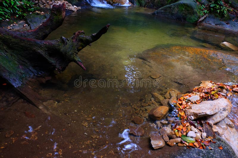 Calm stream in the morning stock image. Image of stream - 88400237