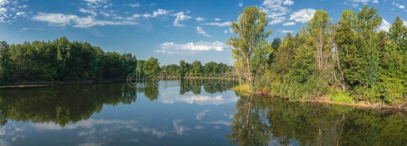 Calm summer lake in forest stock image. Image of reflection - 242793949