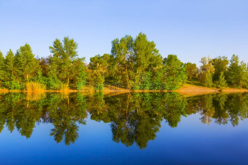 Summer River with Forest on Coast Stock Image - Image of grass, park ...