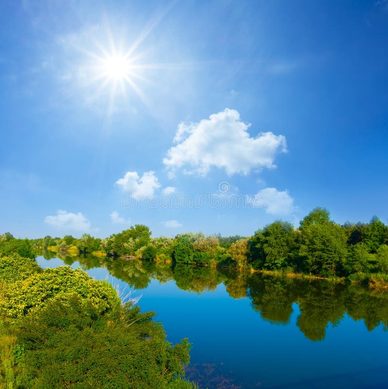 Summer River with Forest on Coast at Sunny Day Stock Photo - Image of ...