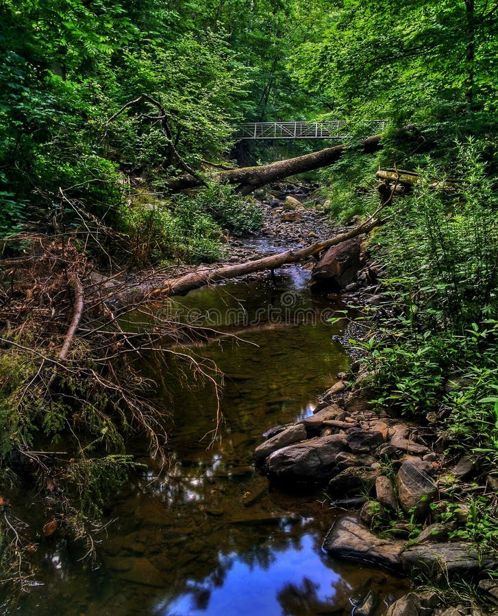 Calm Summer Stream and Bridge Stock Image - Image of forest, water ...