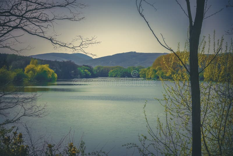 Calm Sunset in the Spring Nature, Lake and Trees Stock Photo - Image of ...