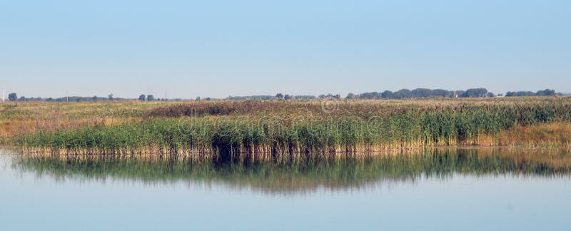 The Calm Surface of the Lake and the Reflection of the Coastal Grass in ...