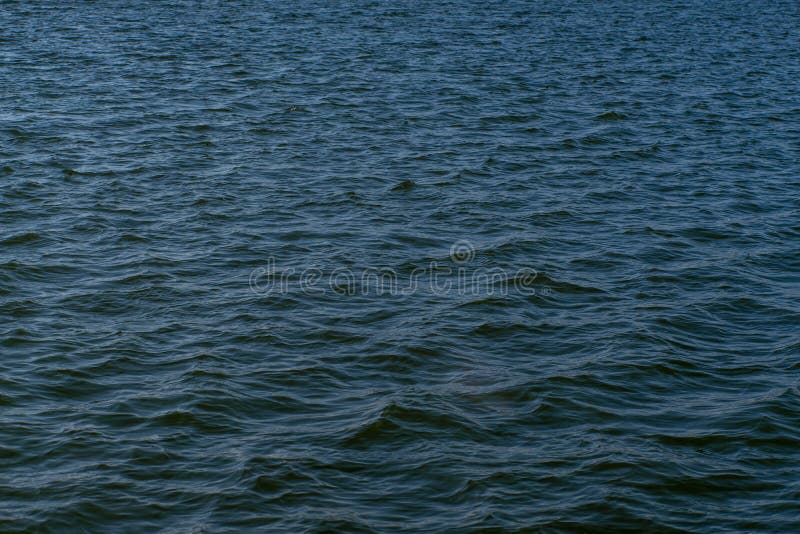 Calm Surface of the Water. Small Ripples in the Pond. Stock Photo ...