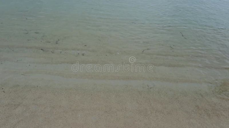 Calm Transparent Sea without Waves Stock Footage - Video of closeup ...