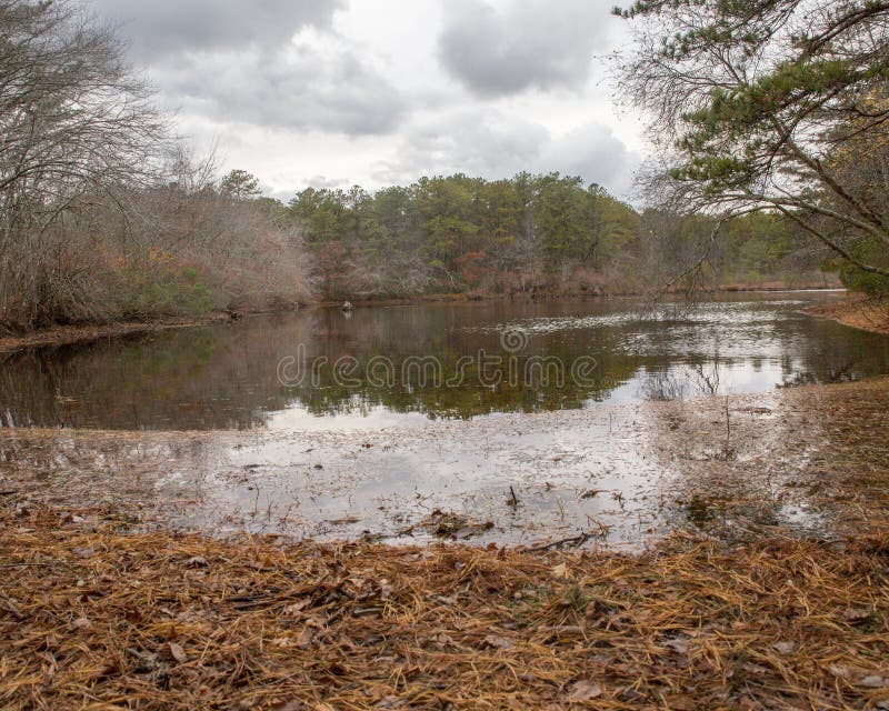 Calm View of the Lake in the Forest in Autumn Stock Image - Image of ...