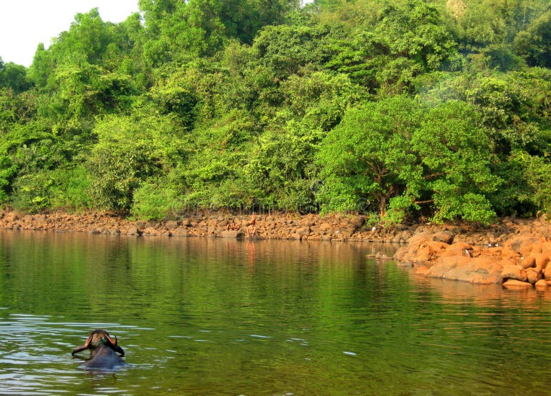 Calm View Tree Reflection Landscape of Mulshi Dam Pune Stock Photo ...