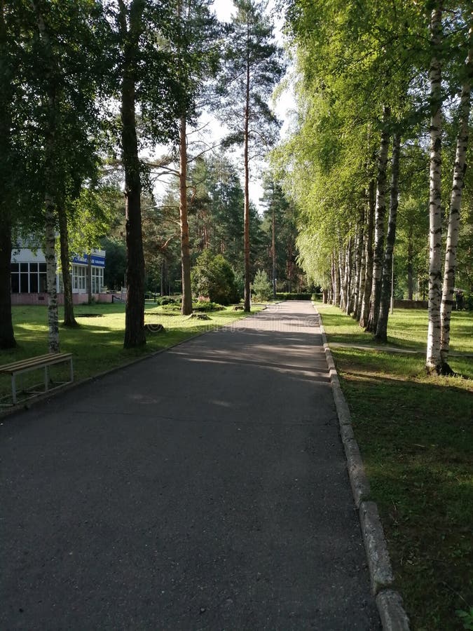 Calm walk great summer day stock image. Image of nature - 162528899